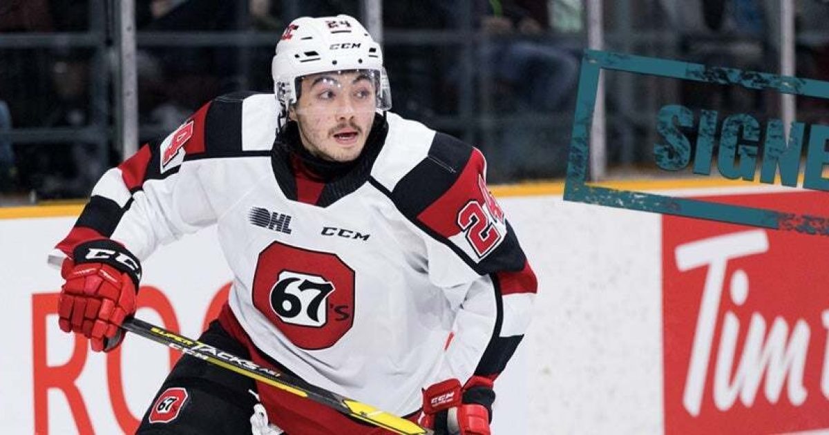 San Jose Barracuda | San Jose Barracuda Sign Forward Joseph Garreffa
