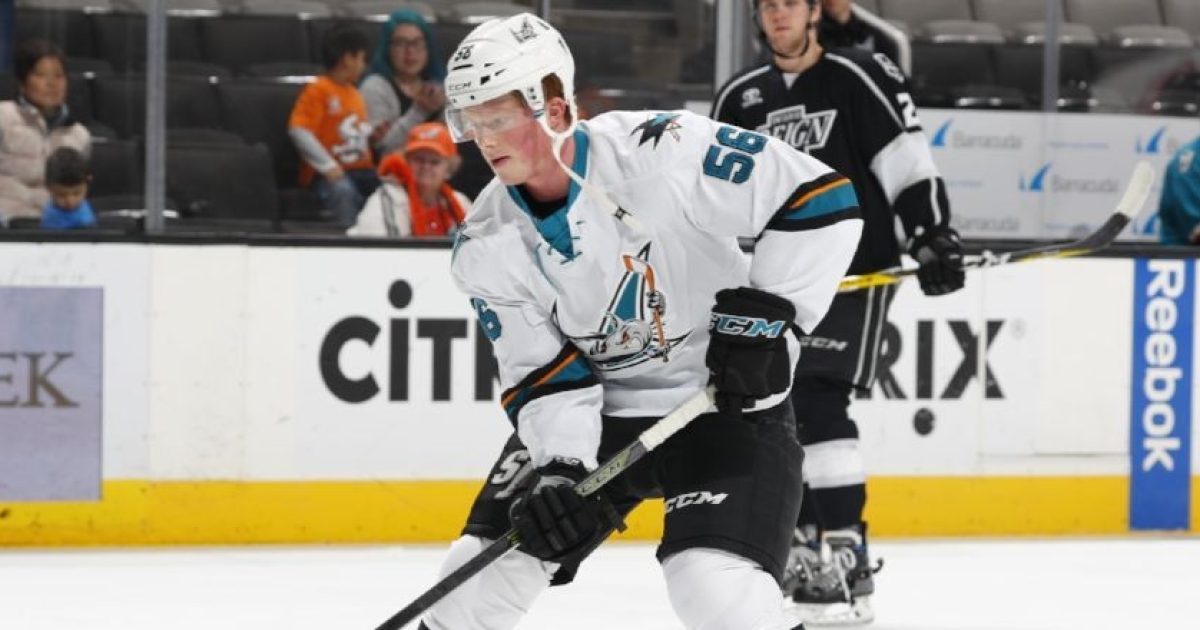 San Jose Barracuda | Barracuda Recall Forward Alex Schoenborn
