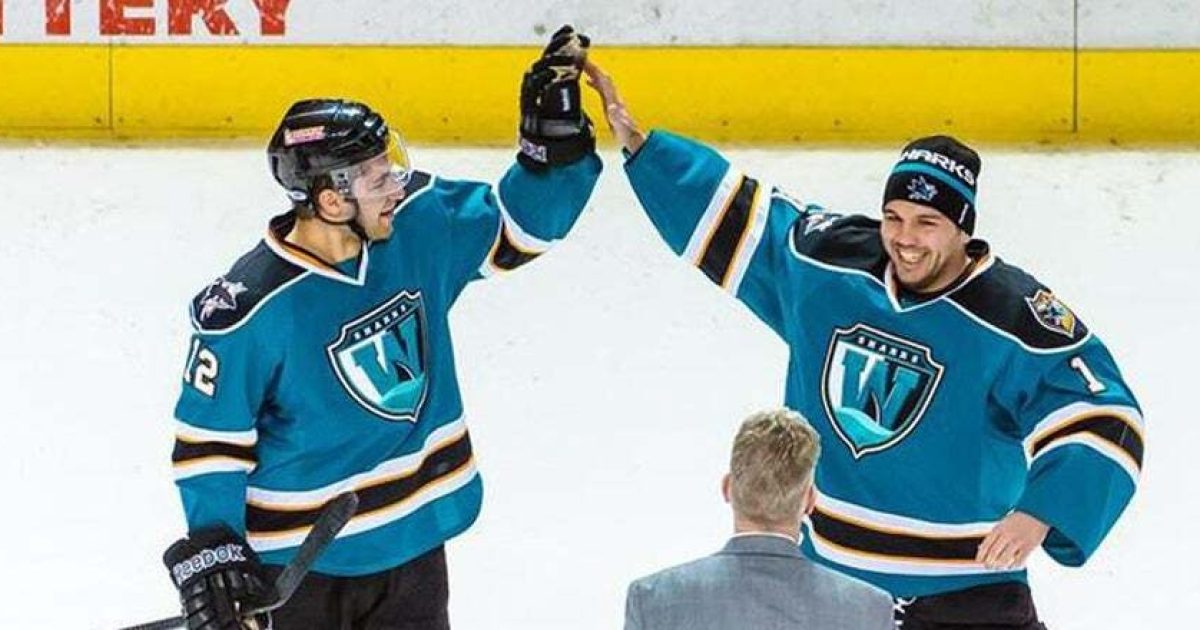 San Jose Barracuda | The Day Bones Backed up