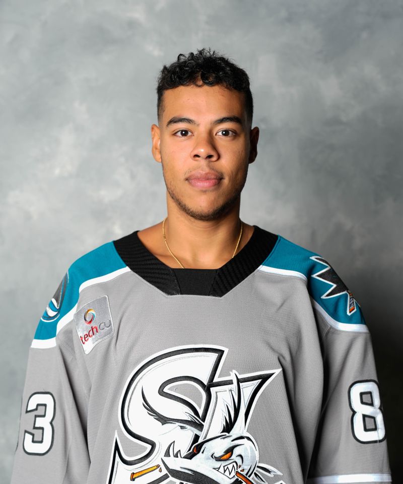 San Jose Barracuda | Team