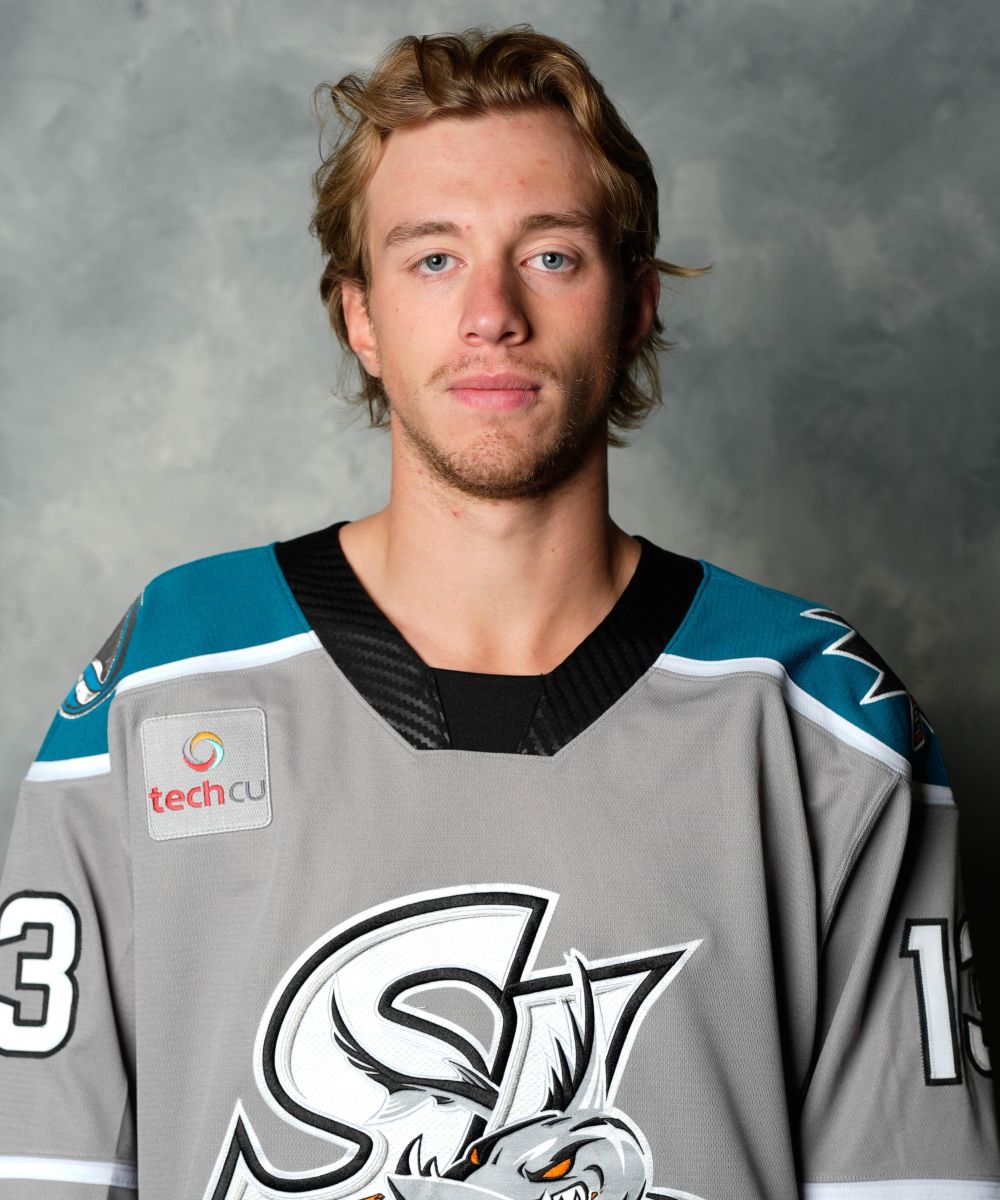 San Jose Barracuda | Quentin Musty