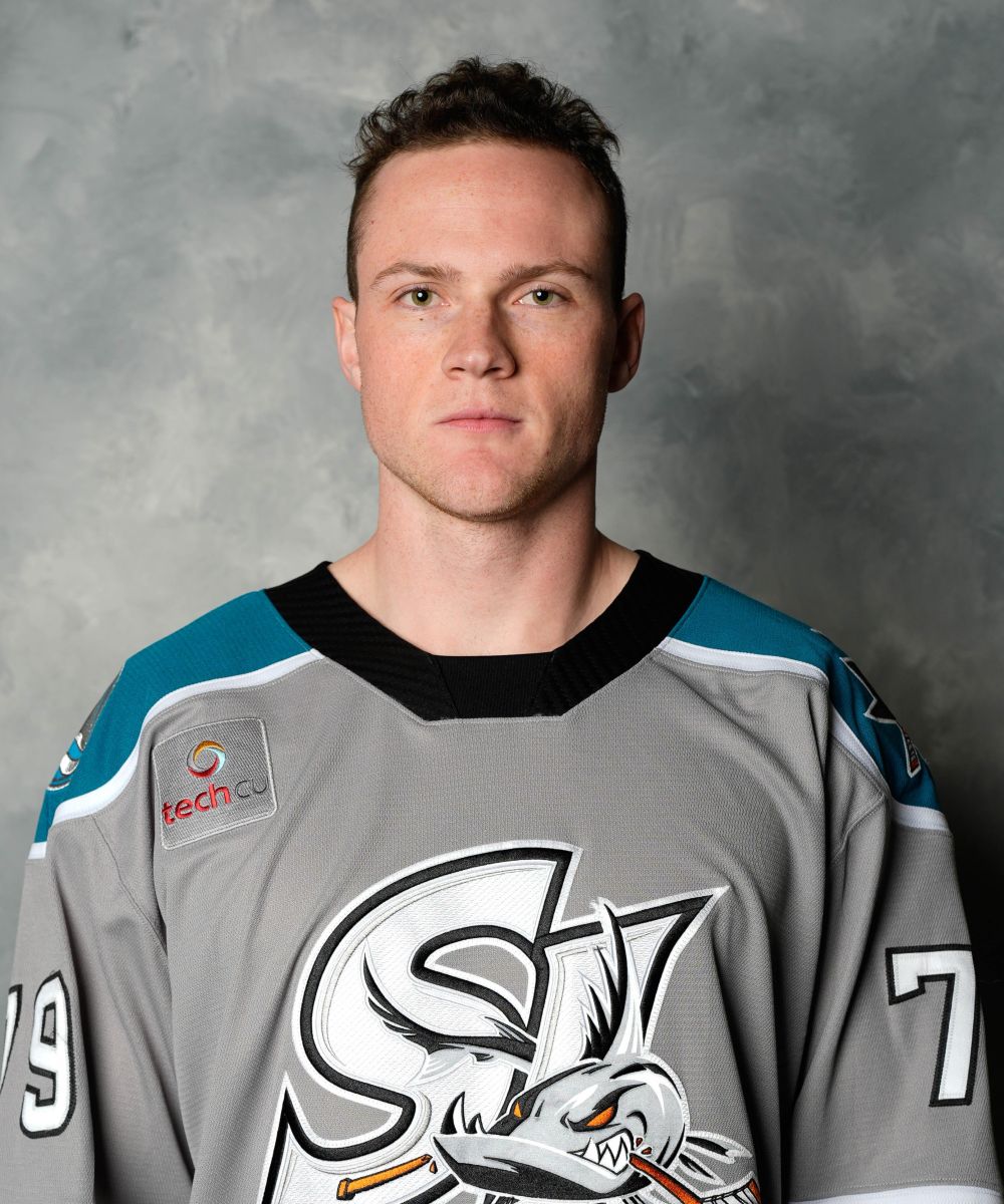 San Jose Barracuda | John Gormley