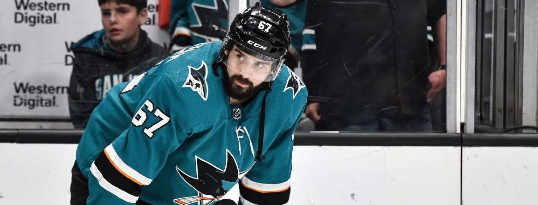 San Jose Barracuda | Sharks Recall Defenseman Jacob Middleton